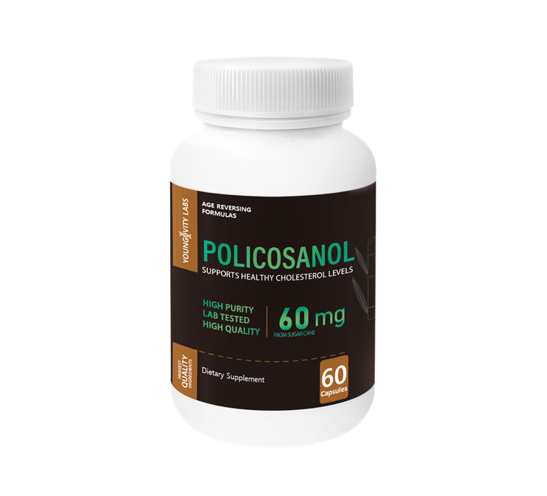 Policosanol Cholesterol Level Control 60mg (60 capsules) – youngevitylabs